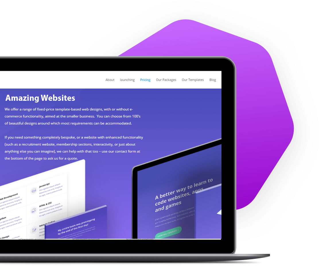 Web Design Real World Projects Limited